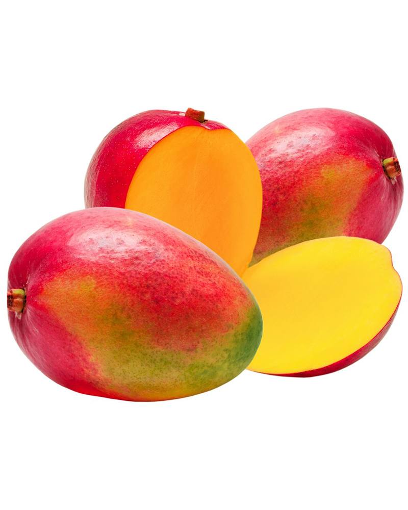 MANGO X UND - Sihai Market